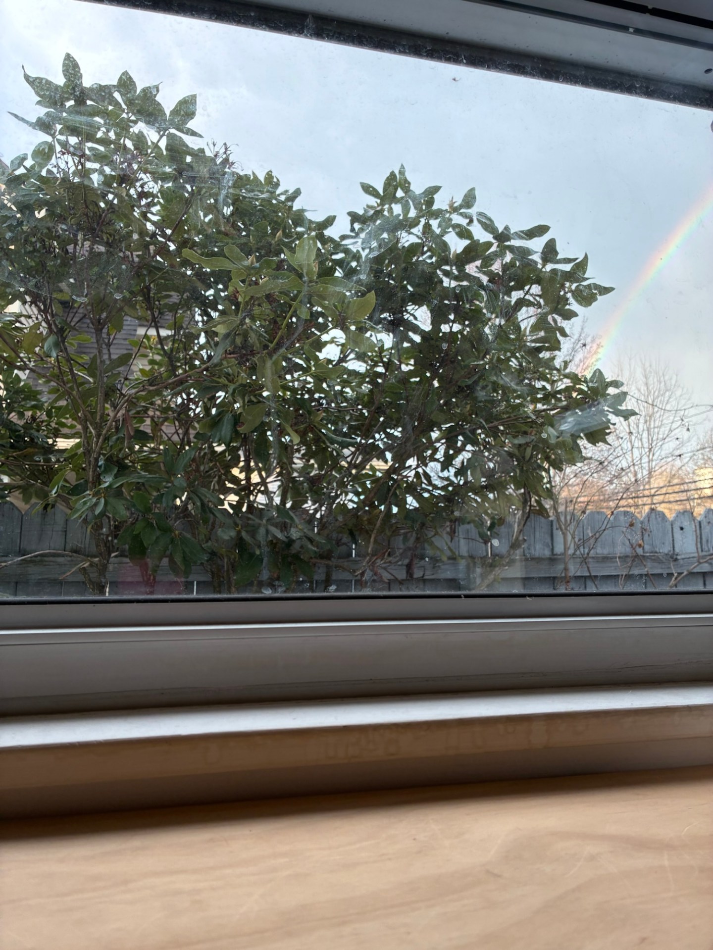 one more – a scribble of jo